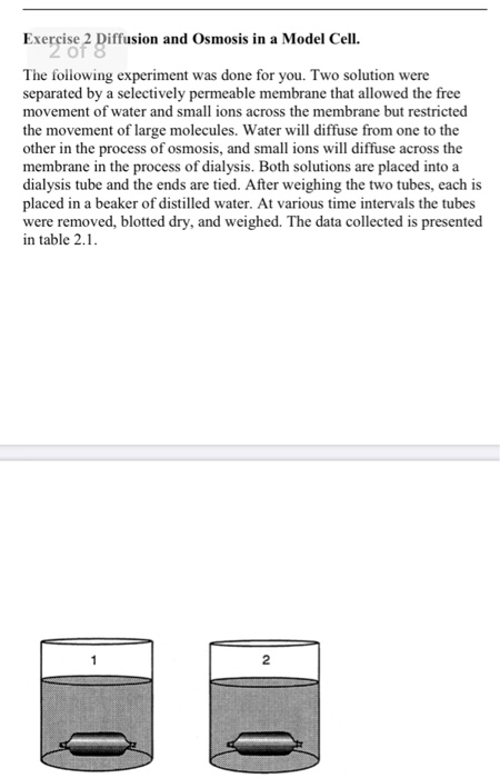 Solved Exercise 2 Diffusion and Osmosis in a Model Cell. | Chegg.com