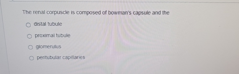 Solved The renal corpuscle is composed of bowman's capsule | Chegg.com