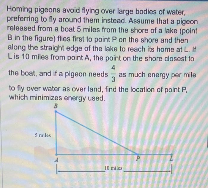 Solved Homing pigeons avoid flying over large bodies of | Chegg.com