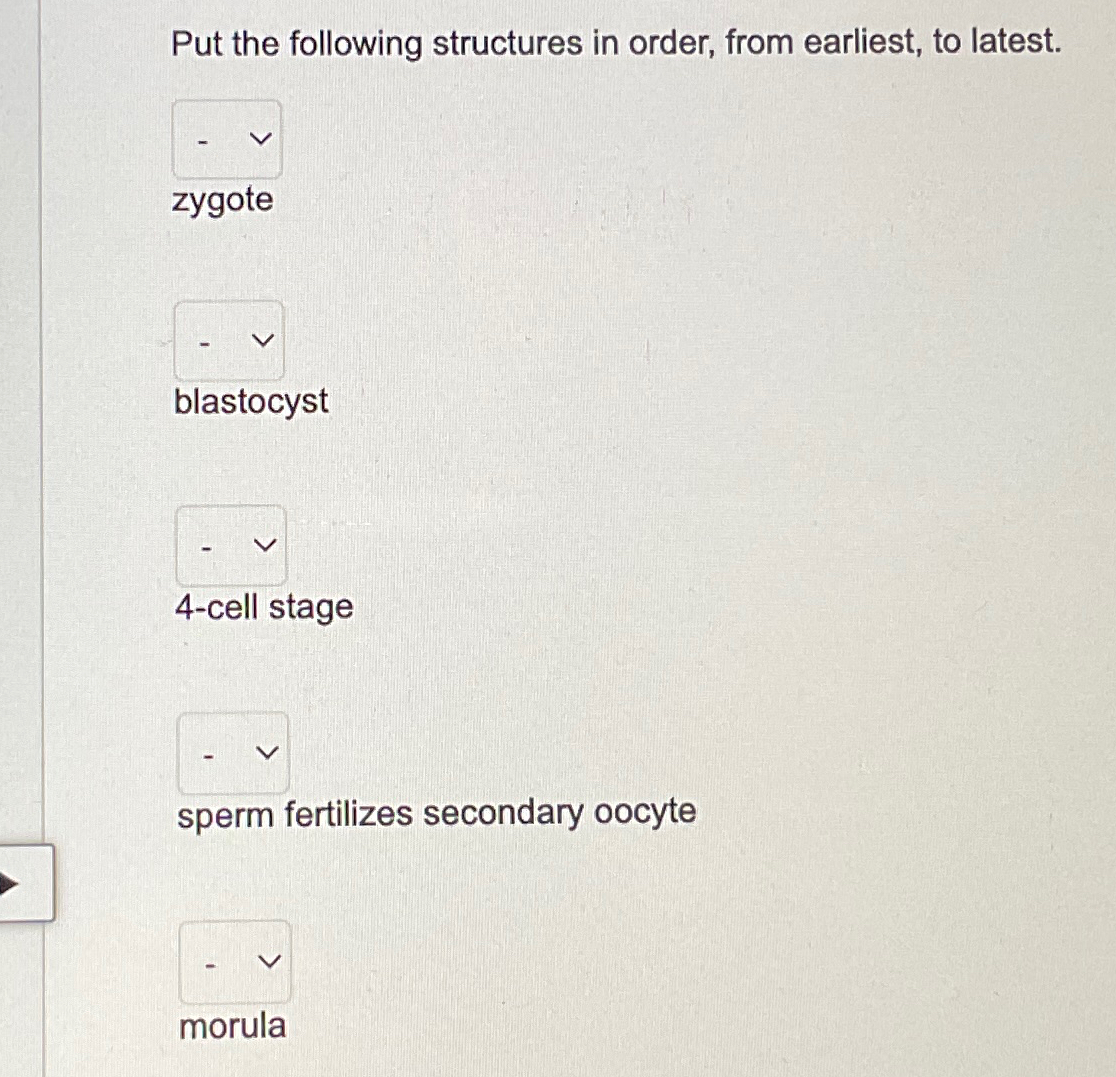 Solved Put the following structures in order, from earliest, | Chegg.com