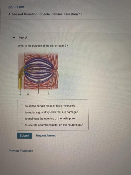 Solved Question | Chegg.com