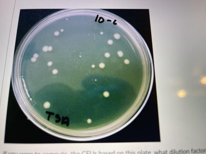 Solved 10-4 TO If you were to compute the CFUs based on this | Chegg.com