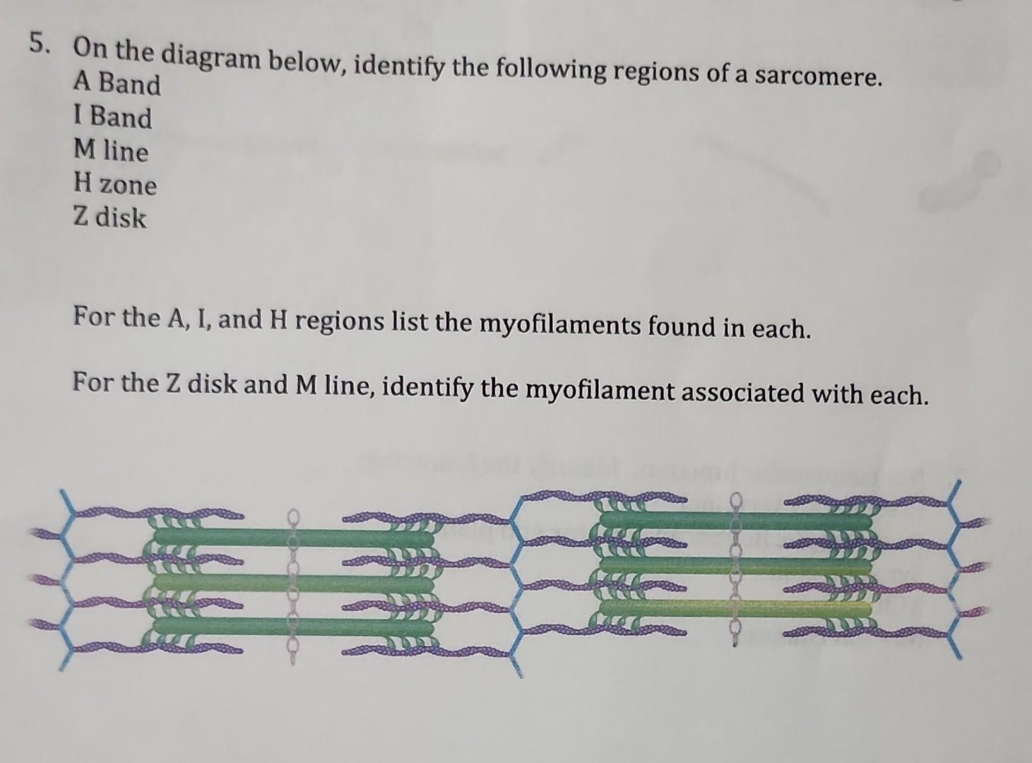 Solved 5. On the diagram below, identify the following | Chegg.com