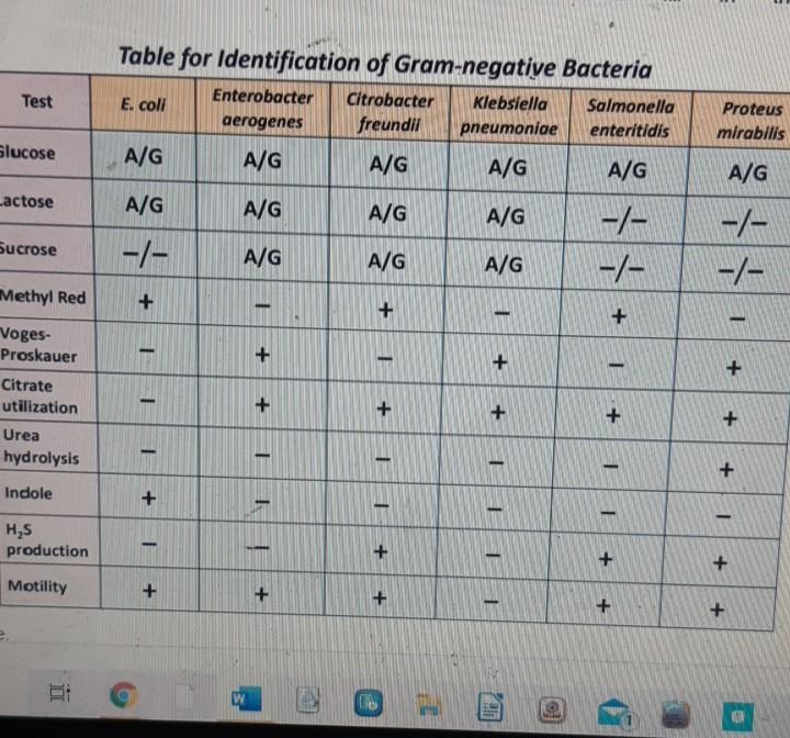 Phenol Red Broth A/G: Fermentation w/acid & gas A/- | Chegg.com