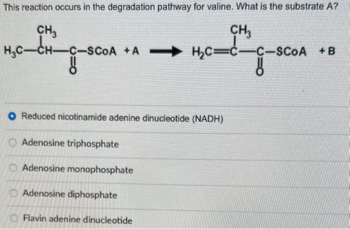 Solved This reaction occurs in the degradation pathway for | Chegg.com