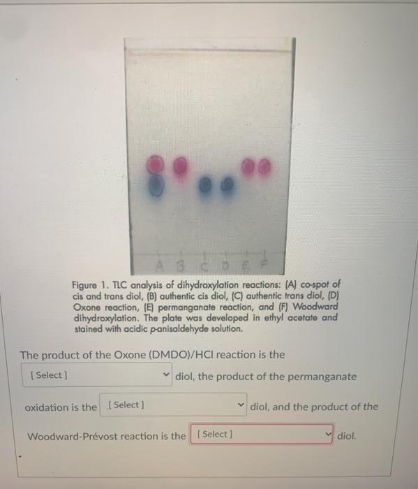 Solved Figure 1. TLC analysis of dihydroxylation reactions: | Chegg.com