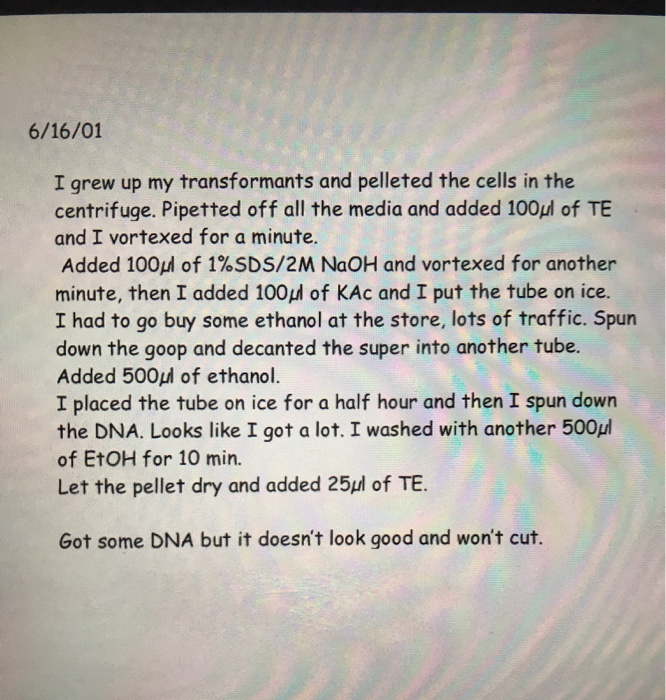 Solved Below are excerpts from a lab notebook by a really | Chegg.com
