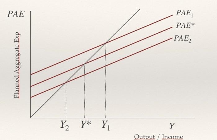 Solved PAE PAE PAE* - PAE2 Planned Aggregate Exp Y Y* Y Y | Chegg.com