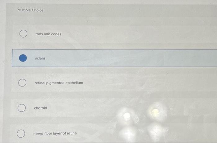 Solved Which structure is highlighted? Multiple Choice rods | Chegg.com