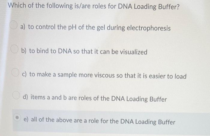 Solved Which of the following is/are roles for DNA Loading | Chegg.com