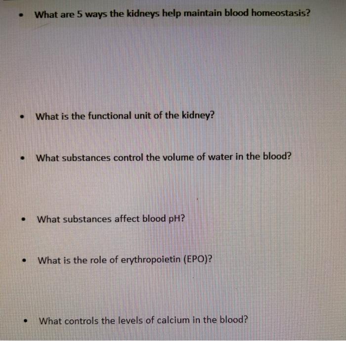 Solved -What are 5 ways the kidneys help maintain blood | Chegg.com