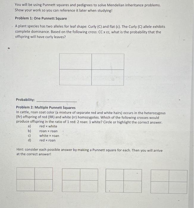 Solved You will be using Punnett squares and pedigrees to | Chegg.com