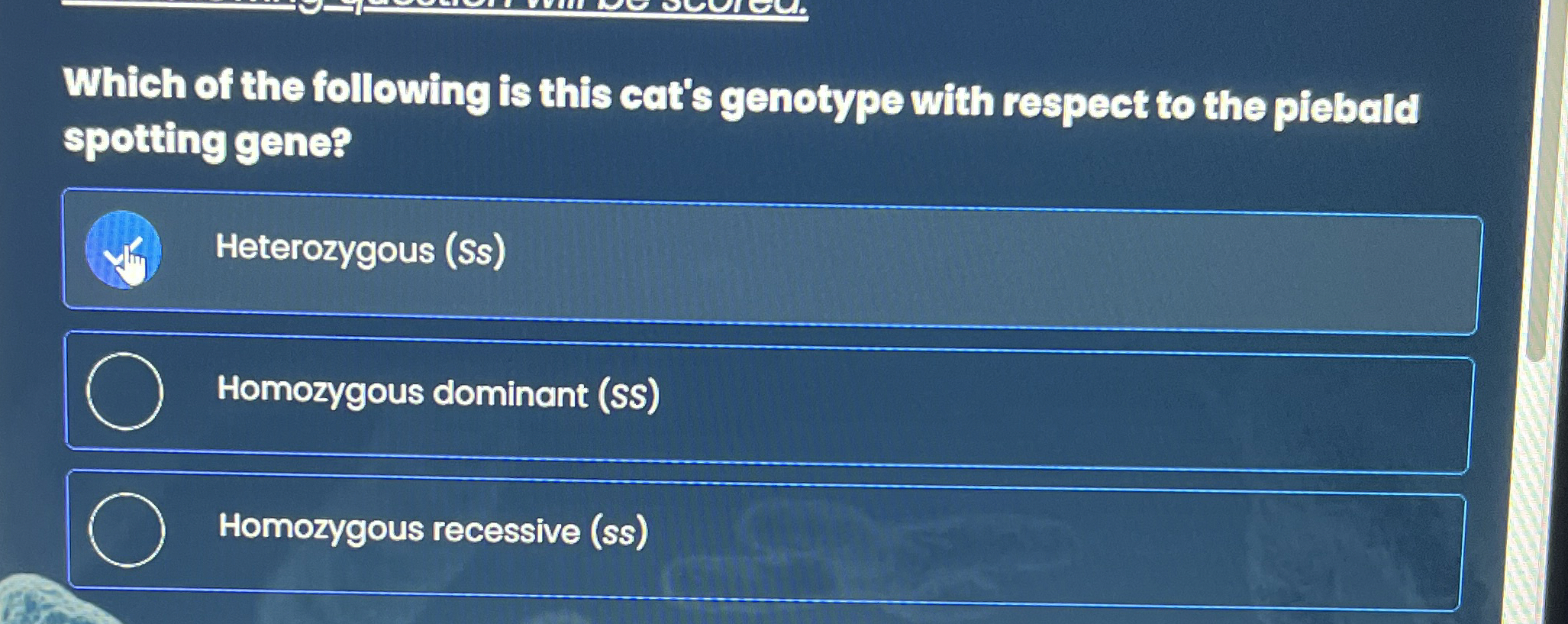 Solved Which of the following is this cat's genotype with | Chegg.com