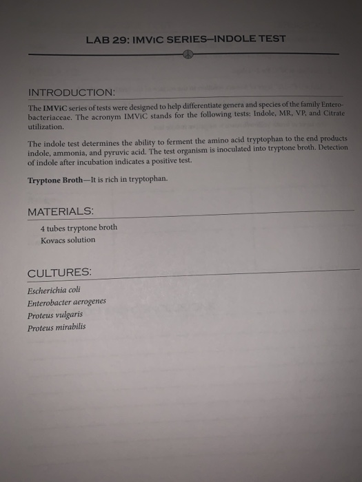 Solved LAB 29: IMVIC SERIES-INDOLE TEST INTRODUCTION: The | Chegg.com