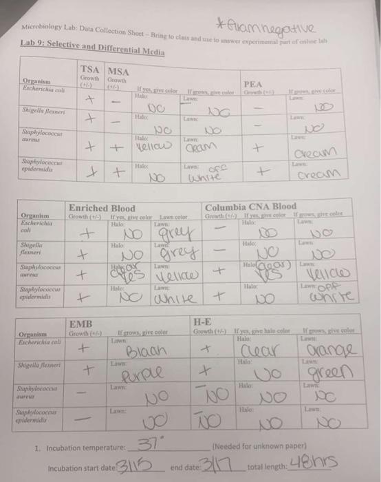 Solved *Quan negative Microbiology Lab Data Collection Sheet | Chegg.com