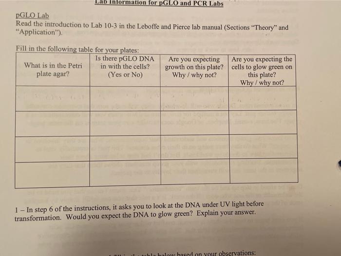 Lab information for PGLO and PCR Labs PGLO Lab Read | Chegg.com