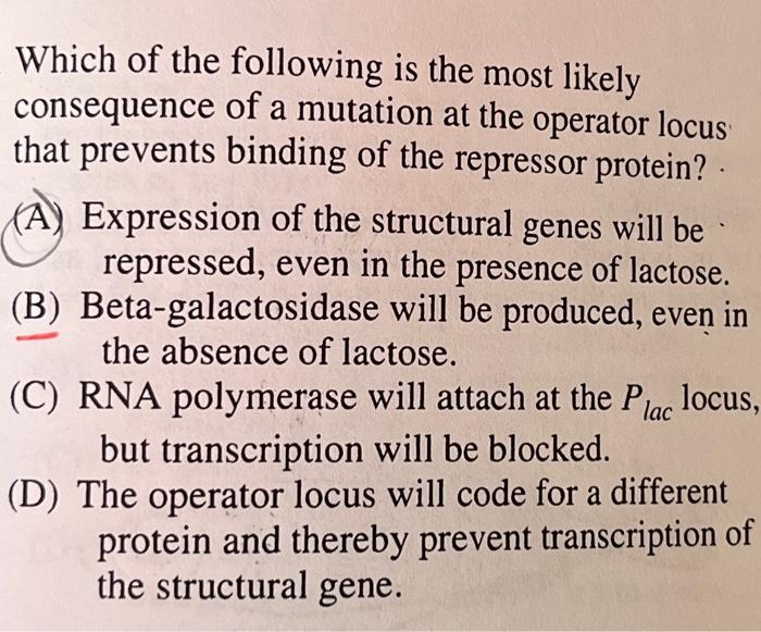 Solved Questions . LAC OPERON STRUCTURE The functions of the | Chegg.com Solved Questions . LAC OPERON STRUCTURE The functions of the | Chegg.com