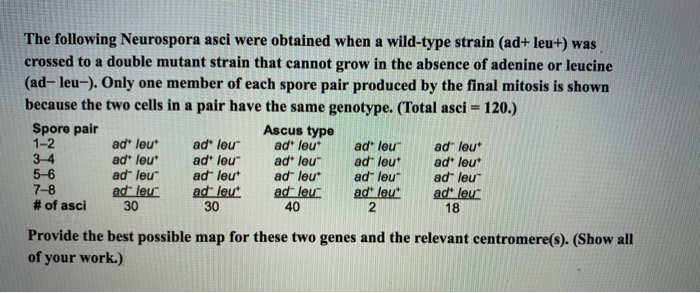 Solved The following Neurospora asci were obtained when a | Chegg.com
