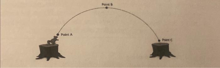 Solved buddy jumps from one tree stump to another tree stump | Chegg.com