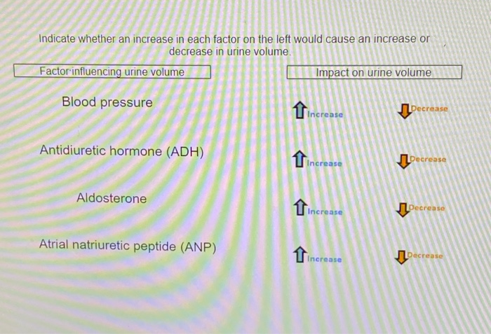 Solved 1 Select the nephron loop region that is impermeable | Chegg.com