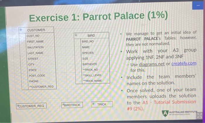 Solved Exercise 1: Parrot Palace (1%) - We manage to get an | Chegg.com