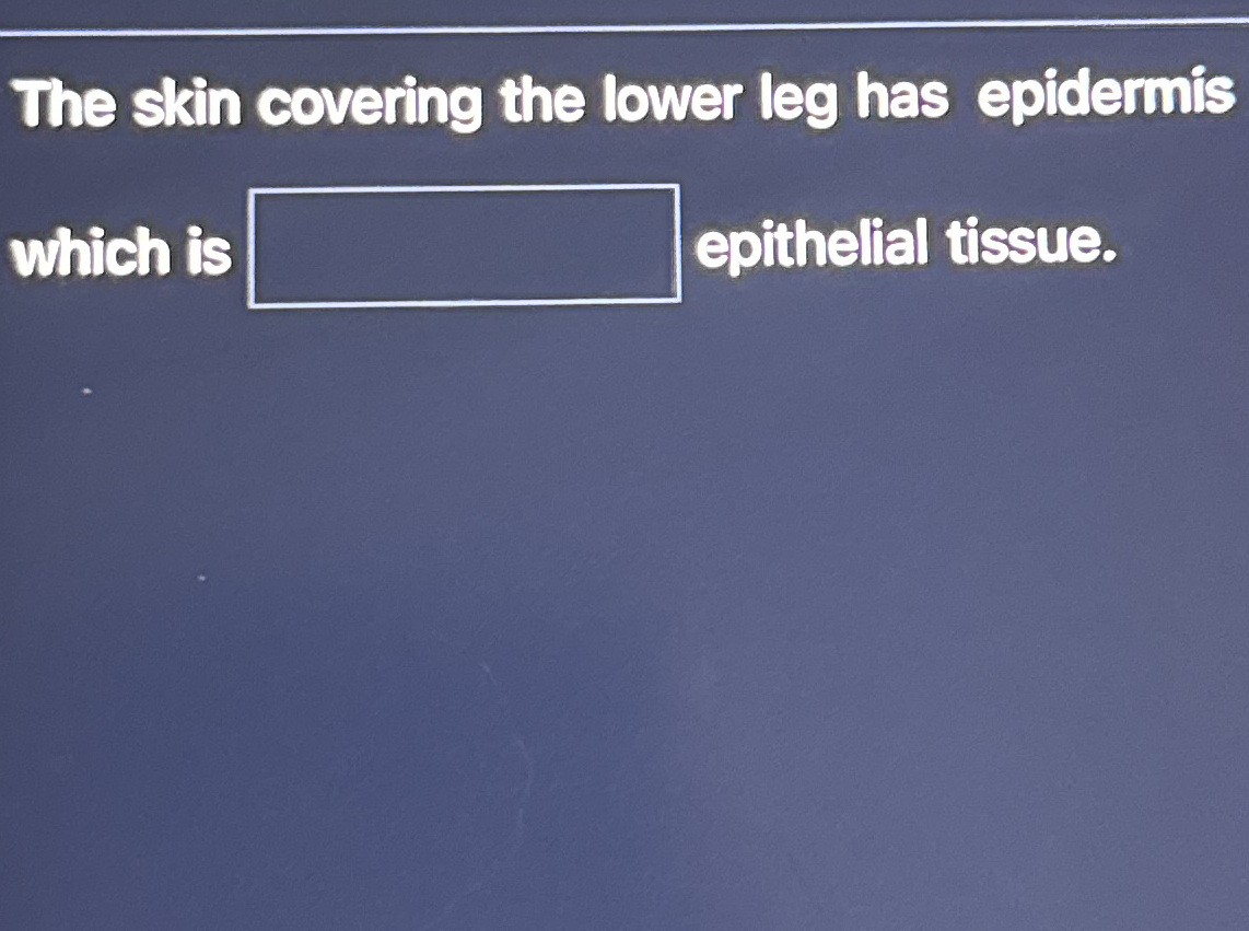 Solved The skin covering the lower leg has epidermis which | Chegg.com
