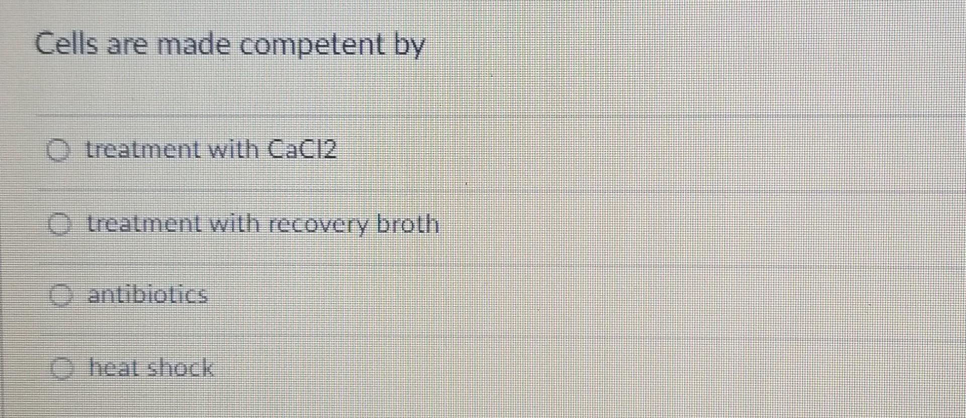 Solved Cells are made competent by treatment with CaCl2 | Chegg.com