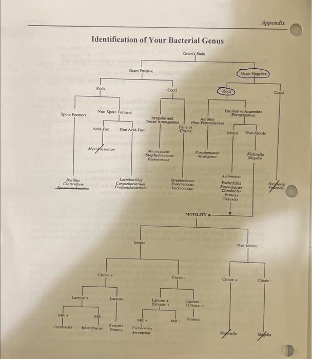Solved Appendix | Chegg.com
