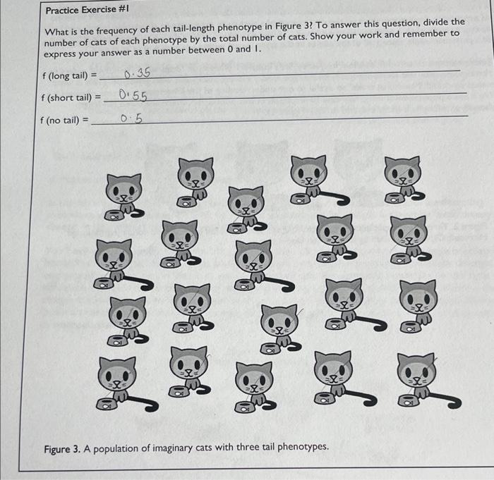 Solved Practice Exercise #1 What is the frequency of each | Chegg.com