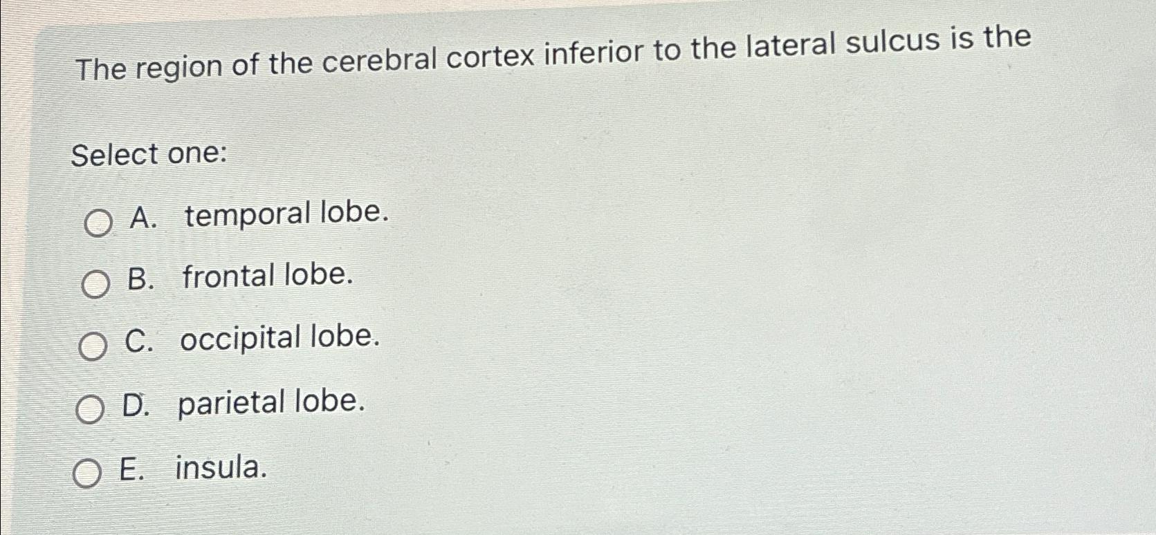 Solved The region of the cerebral cortex inferior to the | Chegg.com