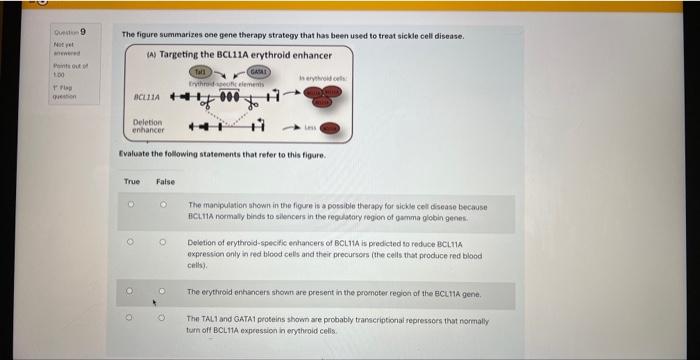 The figure summarizes coe gene therapy strategy that | Chegg.com