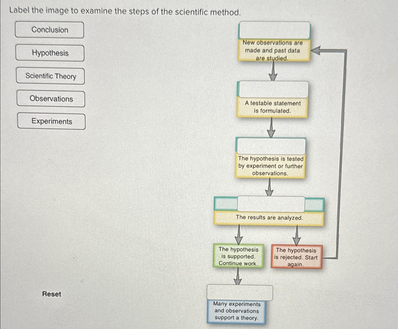Solved Label the image to examine the steps of the | Chegg.com
