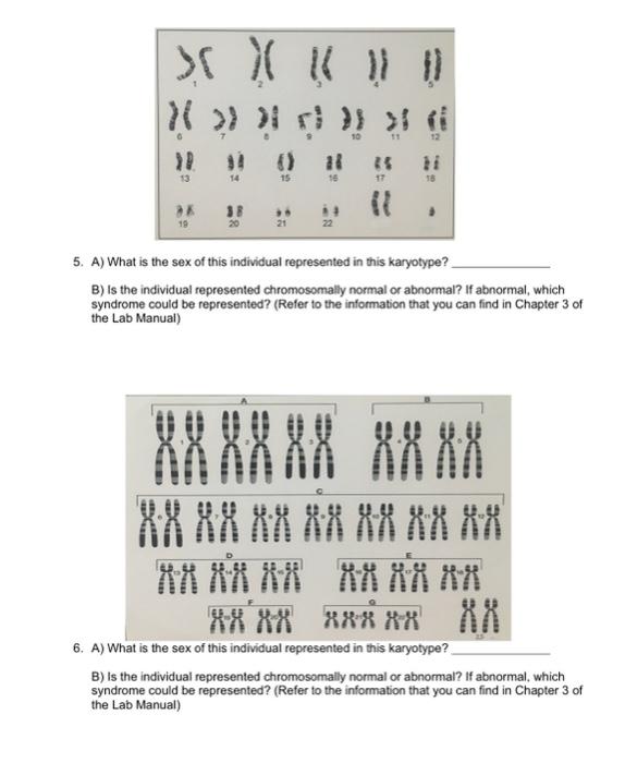 Chromosome Activity Sheet 1. A) What process is | Chegg.com