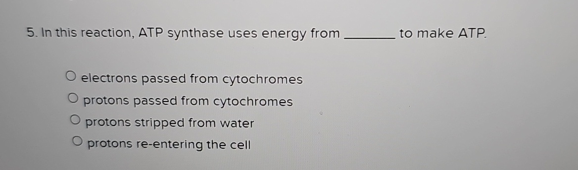 Solved In this reaction, ATP synthase uses energy from ﻿to | Chegg.com