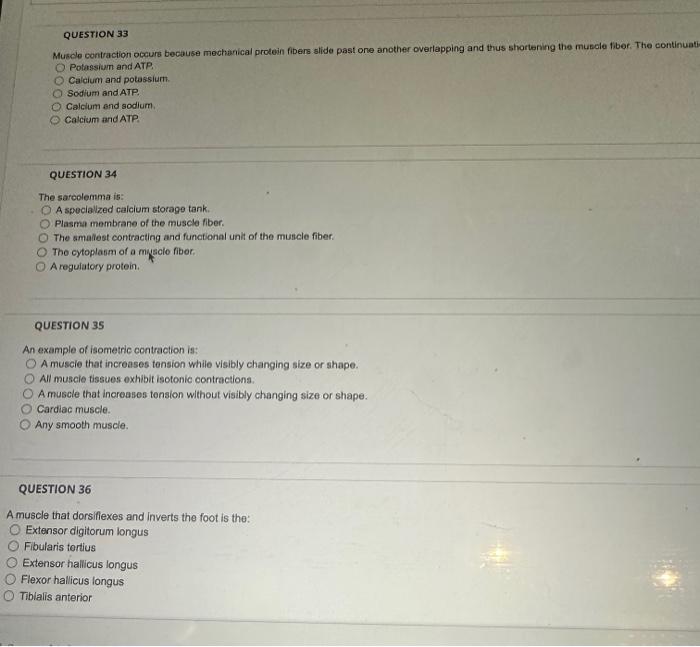 Solved QUESTION 33 Muscle contraction occurs because | Chegg.com