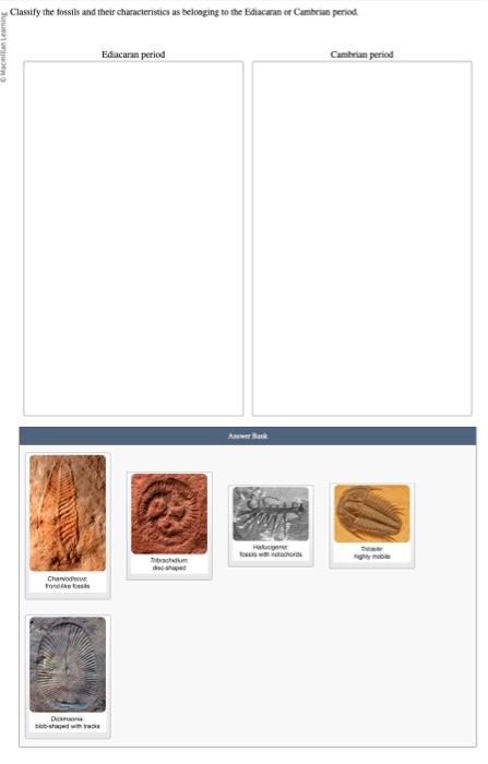 Classify the fossils and their characteristics as | Chegg.com