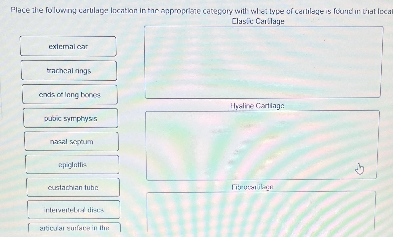 Solved Place the following cartilage location in the | Chegg.com