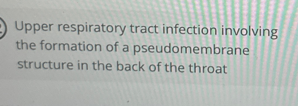 Solved Upper respiratory tract infection involving the | Chegg.com