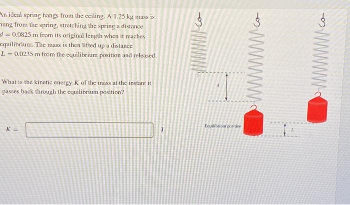 Solved An ideal spring hangs from the ceiling. A 1.25 kg | Chegg.com