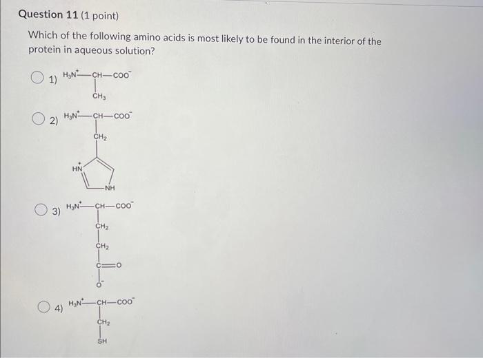 Solved Which of the following amino acids is most likely to | Chegg.com