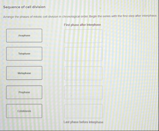 Solved Sequence of cell divisionFint phase after | Chegg.com