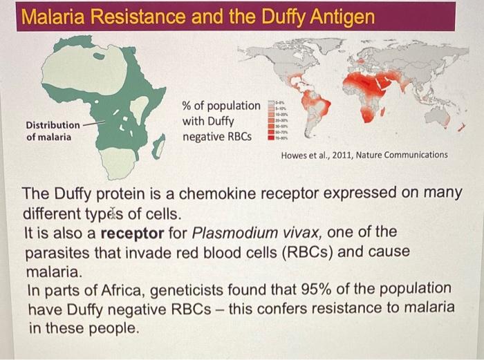 Solved Malaria Resistance and the Duffy Antigen % of pop | Chegg.com