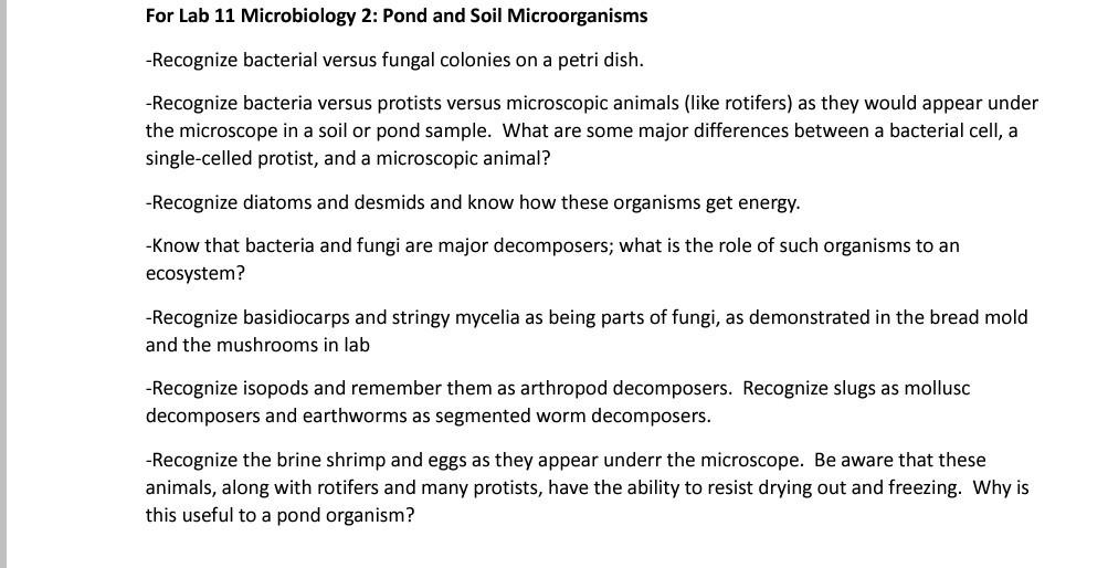Solved For Lab 11 Microbiology 2: Pond and Soil | Chegg.com