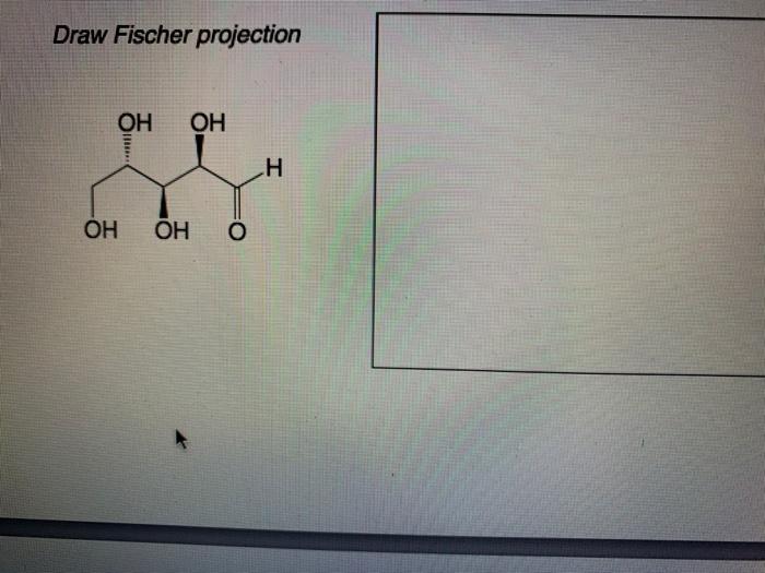 Solved Draw Fischer projection ОН ОН I ОН ОН о | Chegg.com