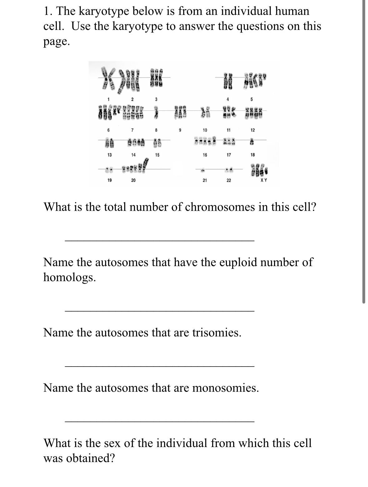 Solved The karyotype below is from an individual human cell. | Chegg.com