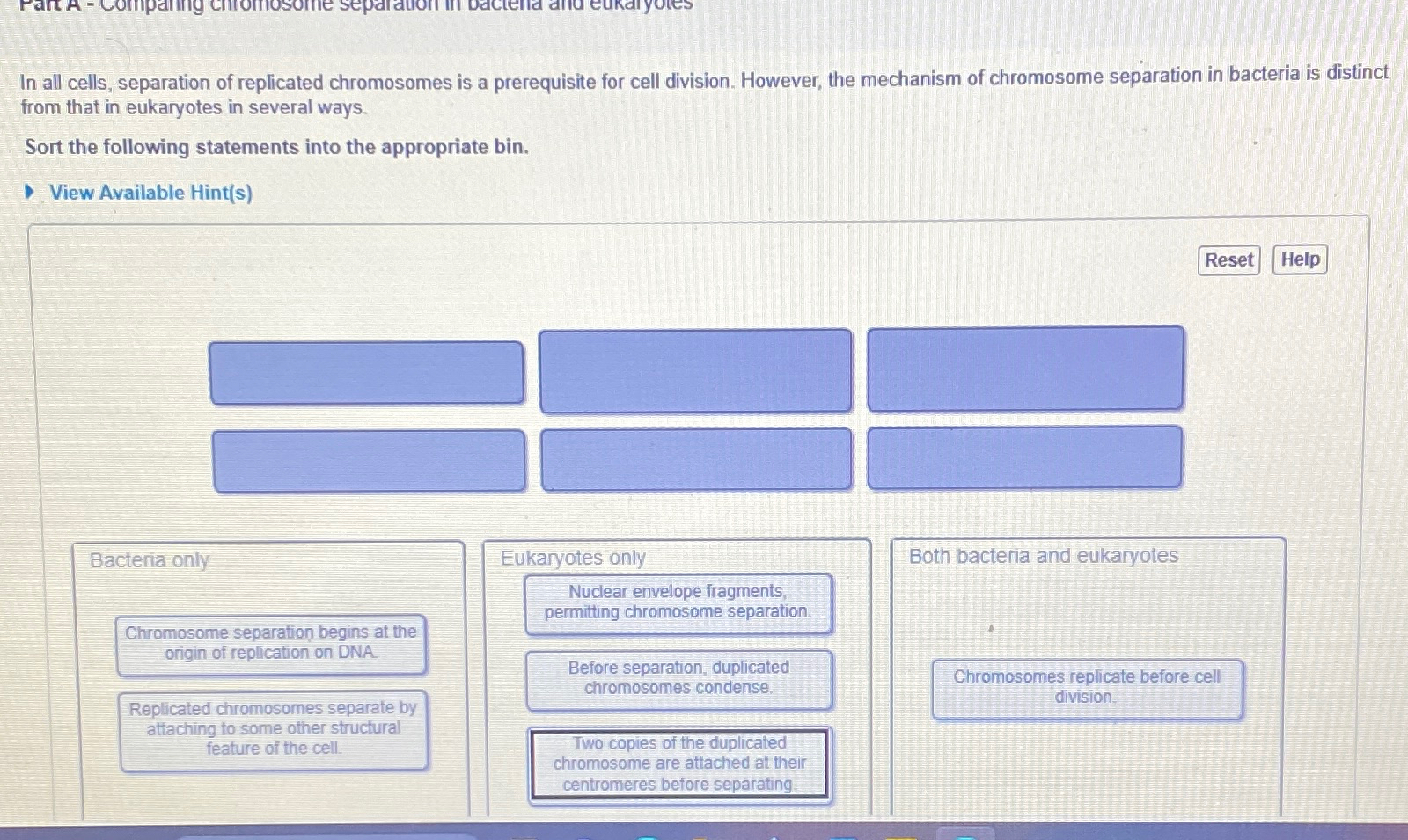 Solved In all cells, separation of replicated chromosomes is | Chegg.com
