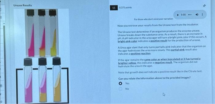 Solved 1 0 Urease Results ALMM tary 11 0.375 points 0:00 | Chegg.com