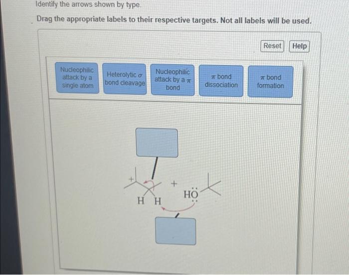 Solved Identify the arrows shown by type. Drag the | Chegg.com