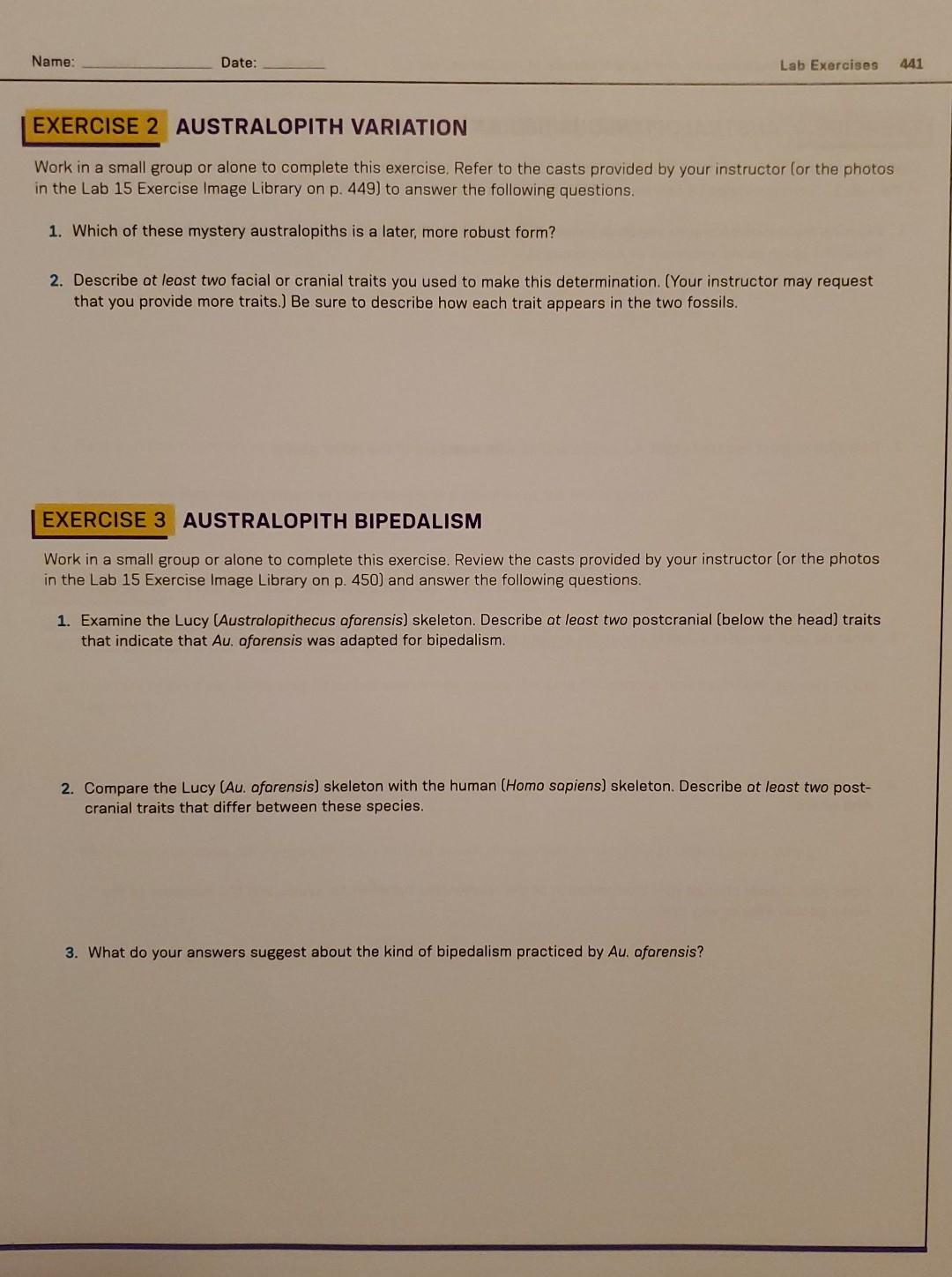 Solved Name: Date: Lab Exercises 441 EXERCISE 2 AUSTRALOPITH | Chegg.com