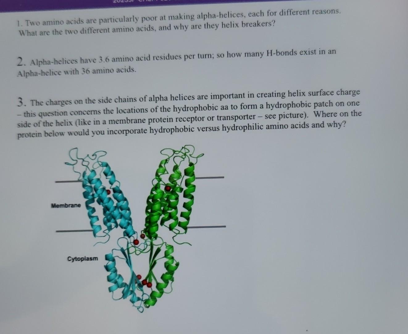 Solved 1. Two amino acids are particularly poor at making | Chegg.com
